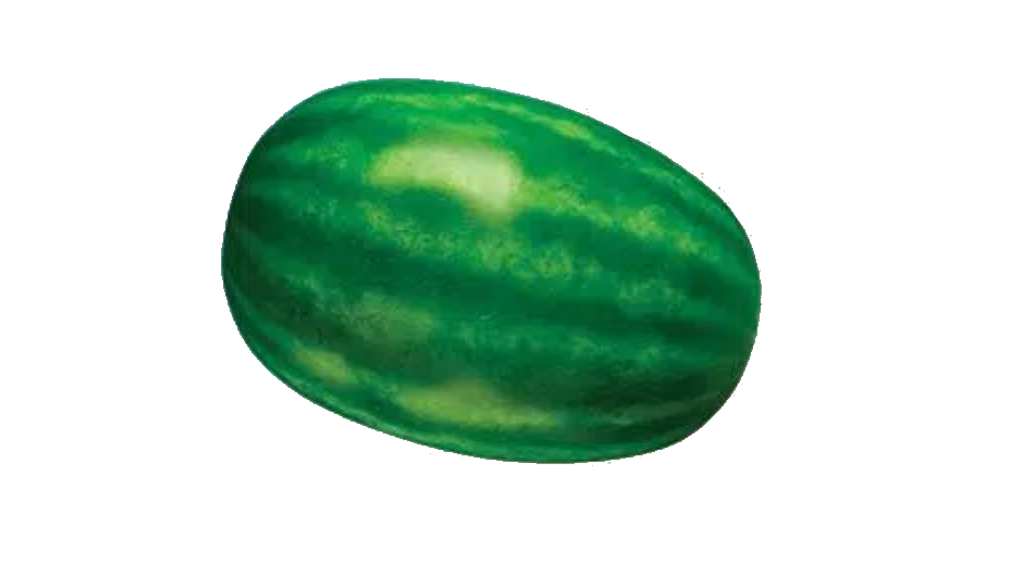 CWACOM watermelon by TyMore2000 on DeviantArt