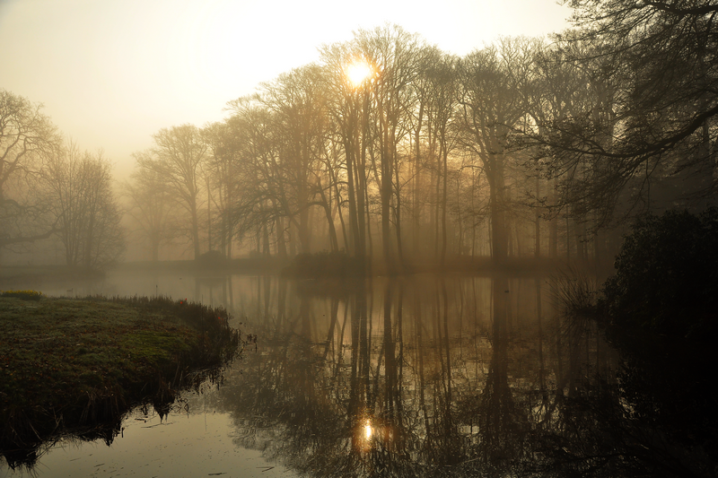 Forest Photography Tutorial by Nelleke on DeviantArt