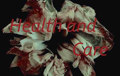 Queen-Anarchy - Hobbyist, Digital Artist | DeviantArt