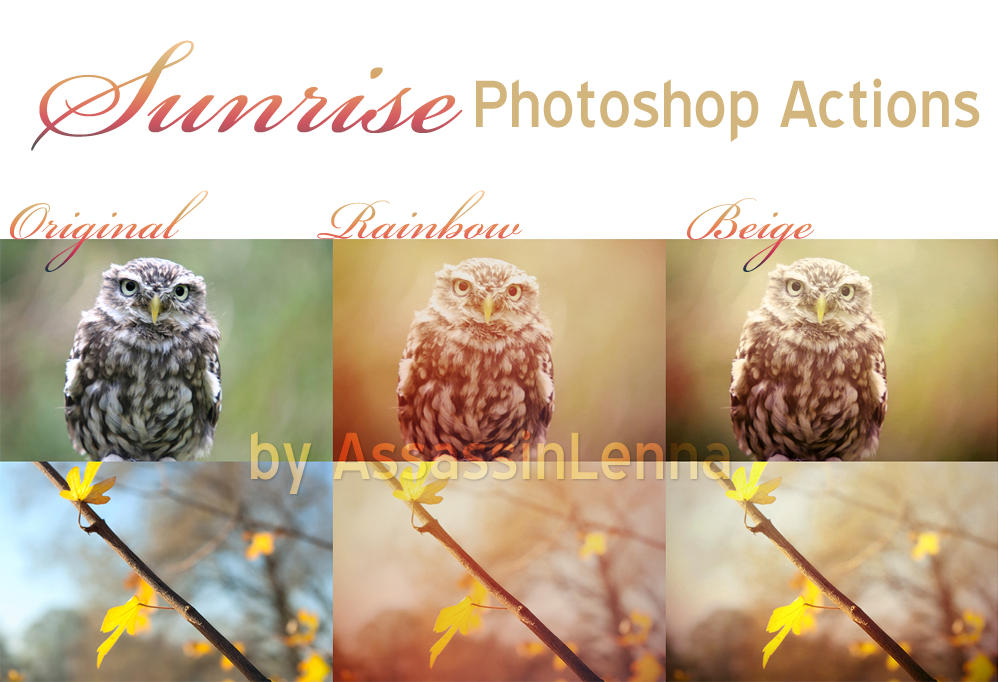 Sunrise Photoshop Actions by AssassinLenna on DeviantArt