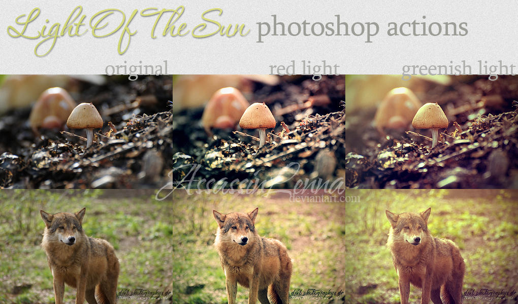 Light Up The Sun photoshop actions by AssassinLenna on DeviantArt