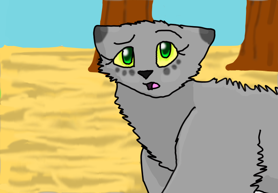 dovepaw by sunclanleader on DeviantArt