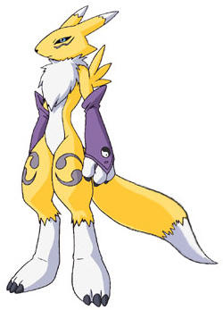 You do not know Renamon by Chrysonice on DeviantArt