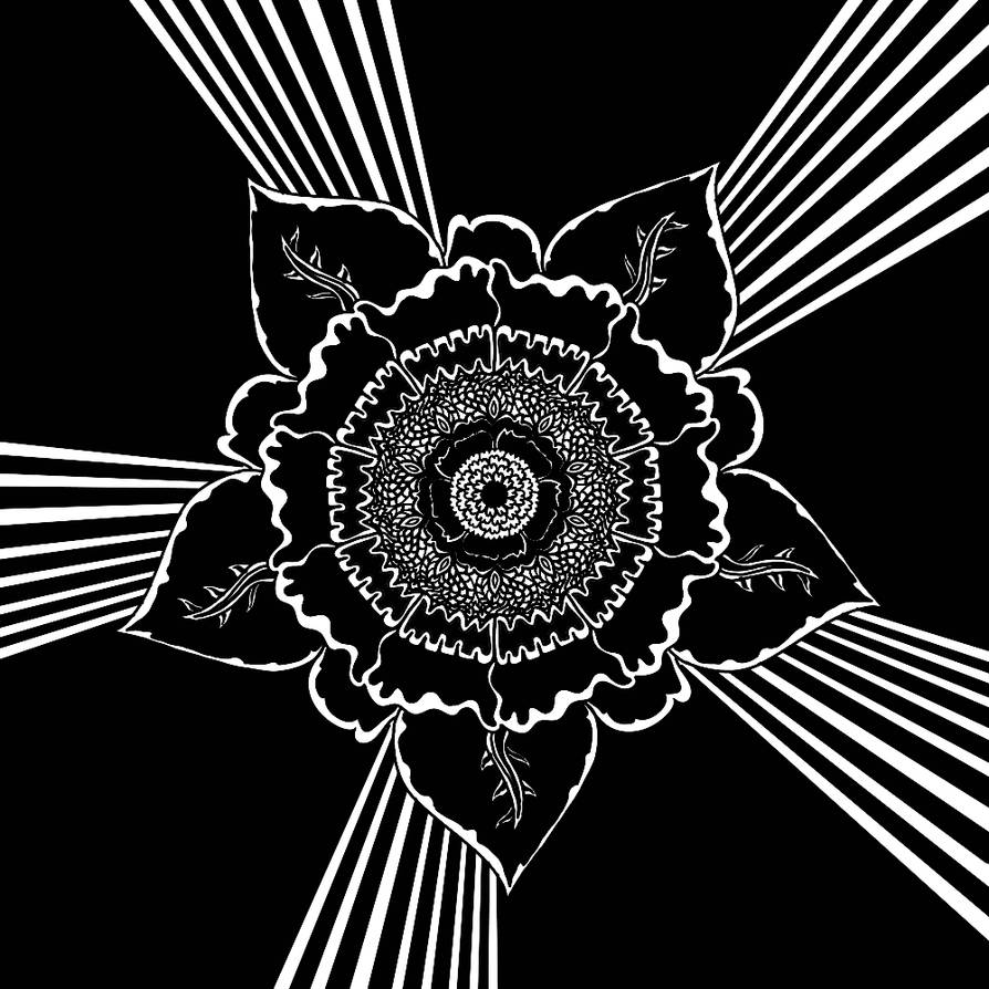 cosmic cabbage by mojozorrografics on DeviantArt