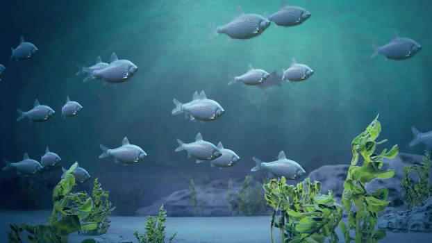 Explore the Best 3danimation Art | DeviantArt