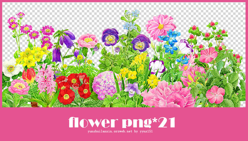 Flower png pack #01 by yynx151 on DeviantArt