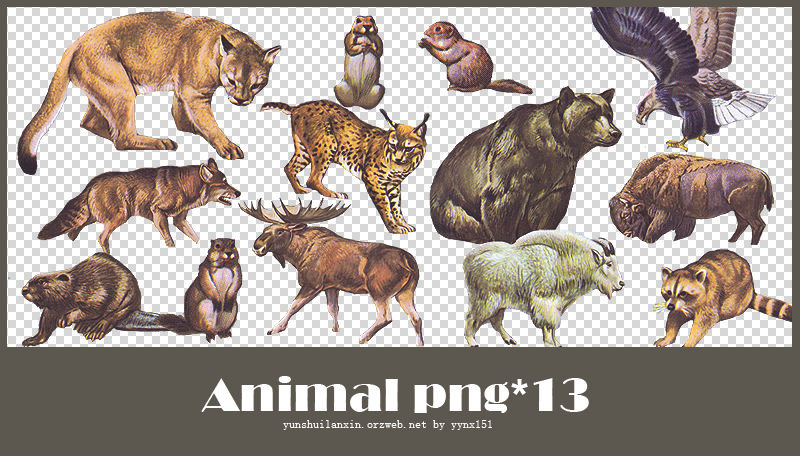 Animal png pack #01 by yynx151 on DeviantArt