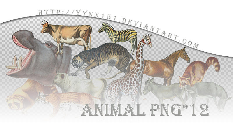 Animal png pack #04 by yynx151 on DeviantArt