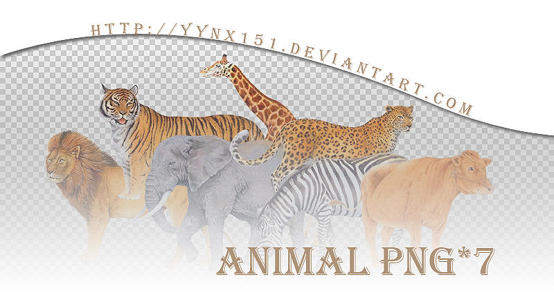 Animal png pack #05 by yynx151 on DeviantArt
