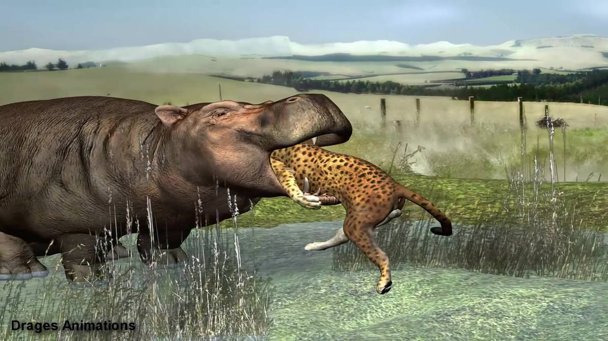Hippo eats Cheetah - Vore Animation by Drages-Animations on DeviantArt