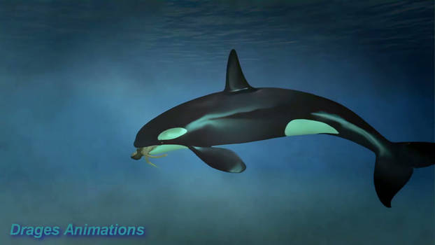 Drages-Animations - Professional, Filmographer | DeviantArt
