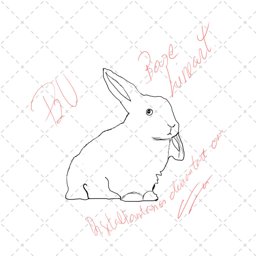 [P2U] ADOPTABLE BUNNY LINEART BASE .PSD by DigitalFantasiesArt on ...
