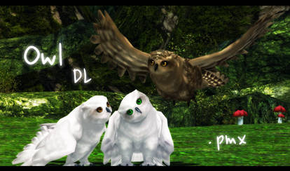 Explore the Best Owls Art | DeviantArt