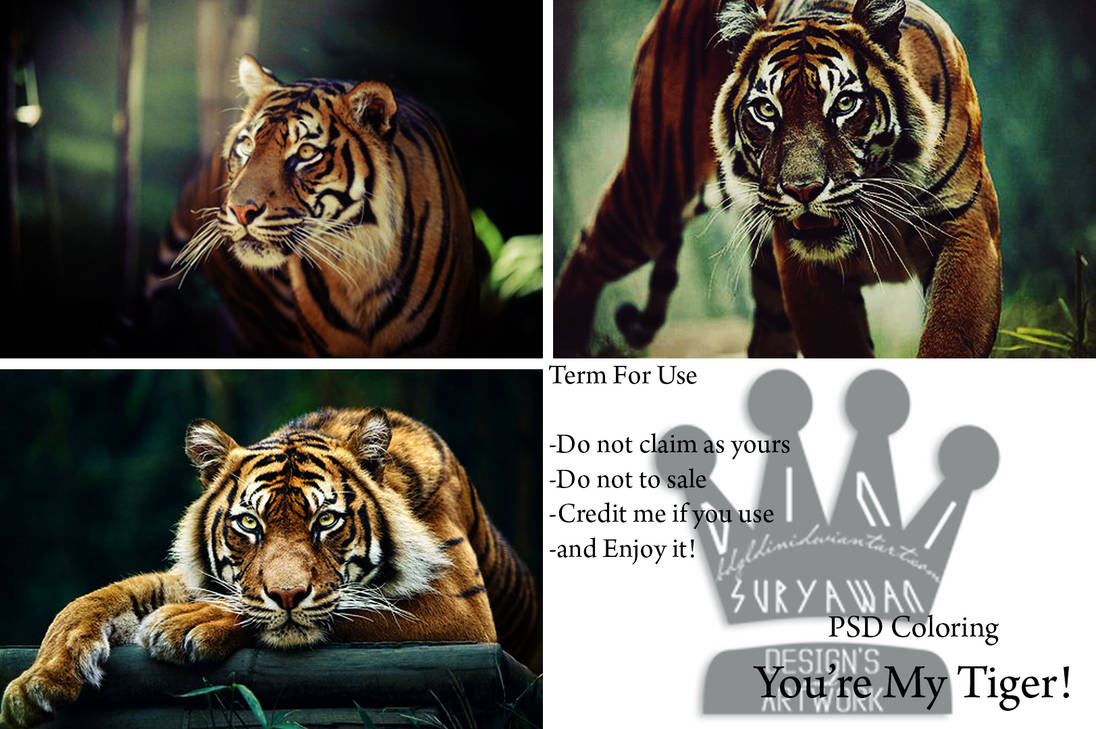 PSD Coloring You're My Tiger! by bdgldini on DeviantArt