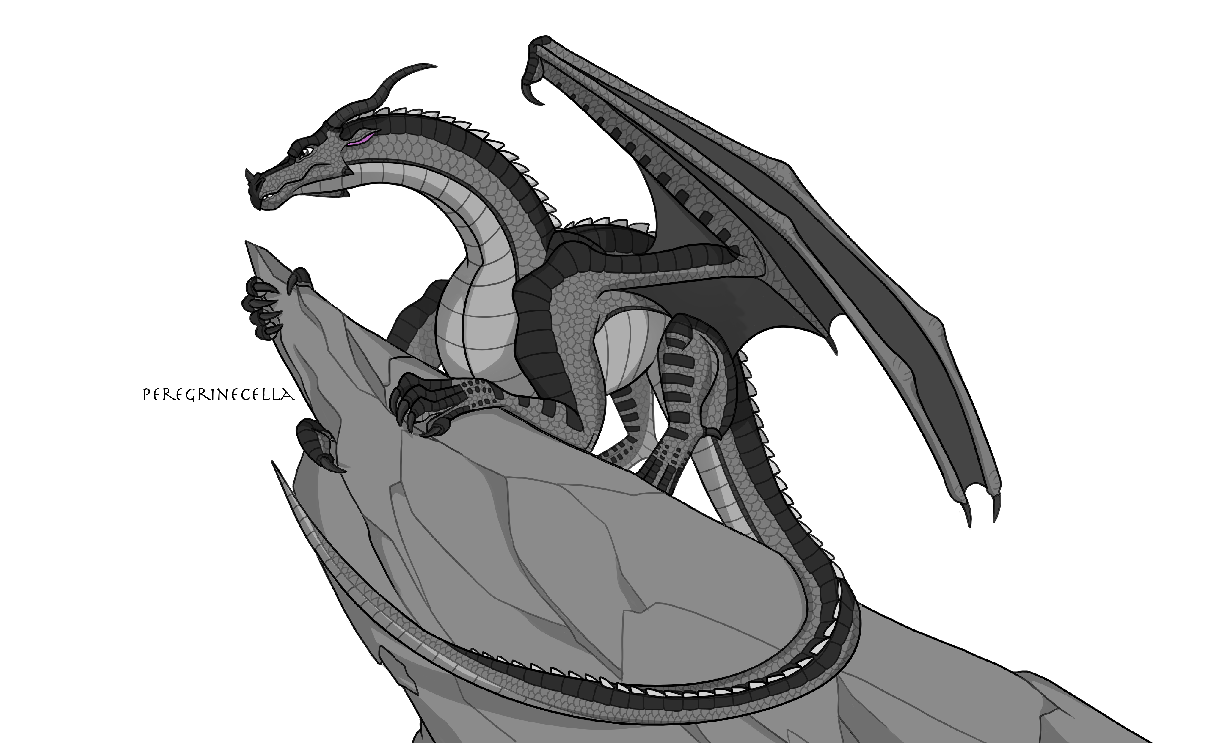 Peregrine's SkyWing Varient 2 Base (PSD Version) by Skyify on DeviantArt