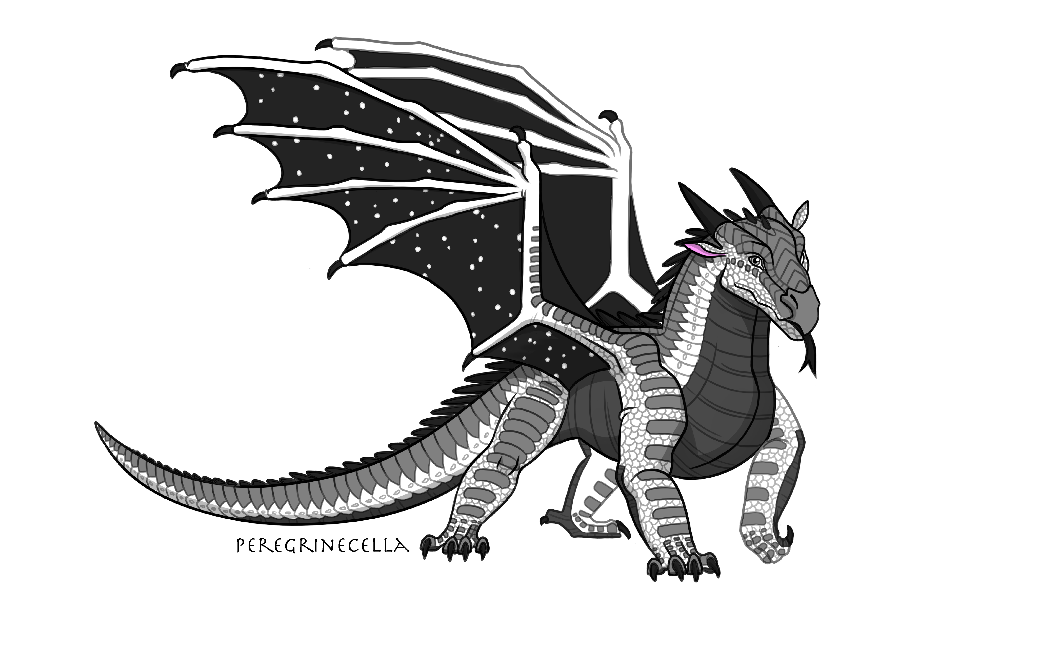 Peregrine's Baby NightWing Base (PSD Version) by Skyify on DeviantArt