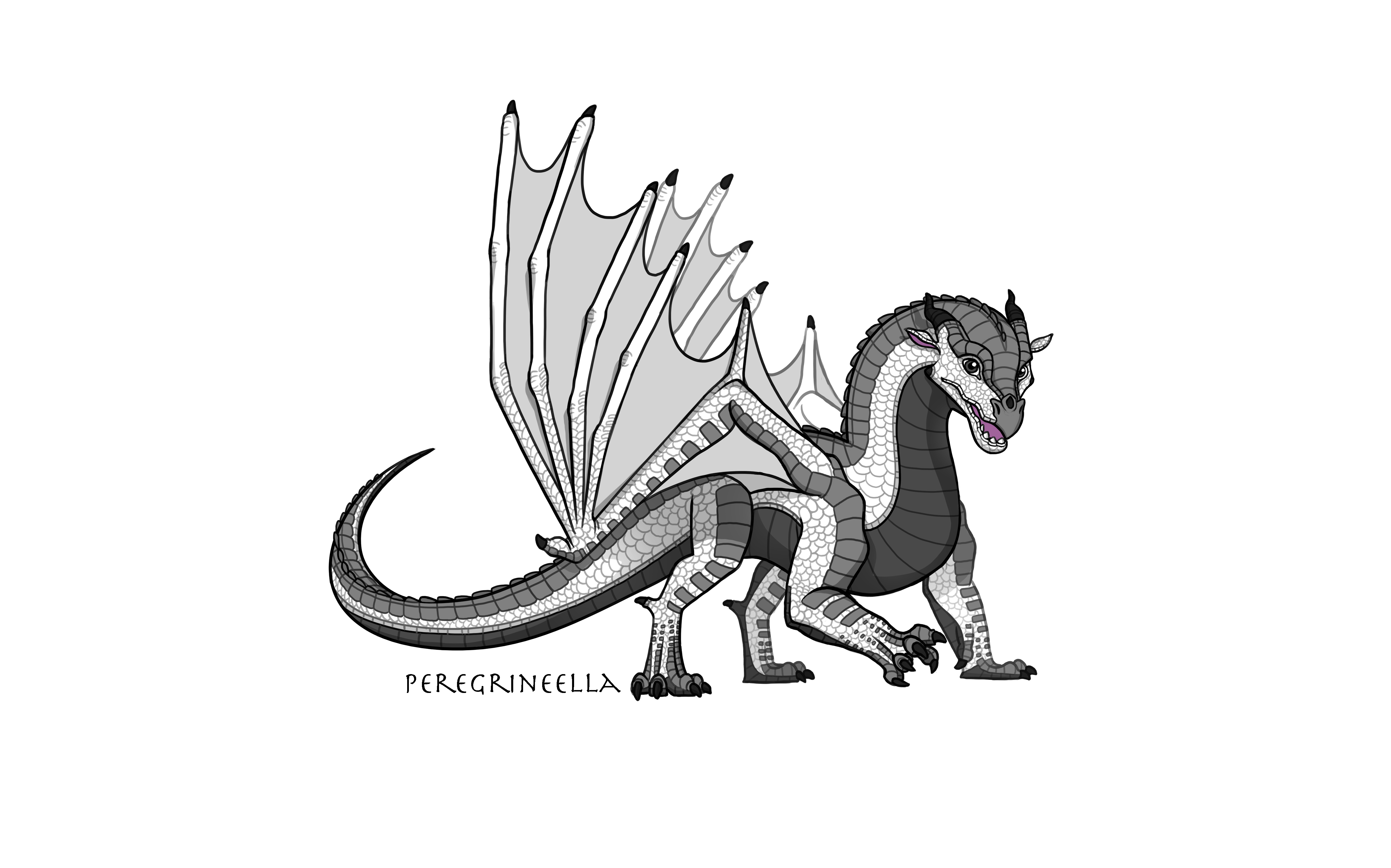 Peregrine's Baby SkyWing Base (PSD Version) by Skyify on DeviantArt