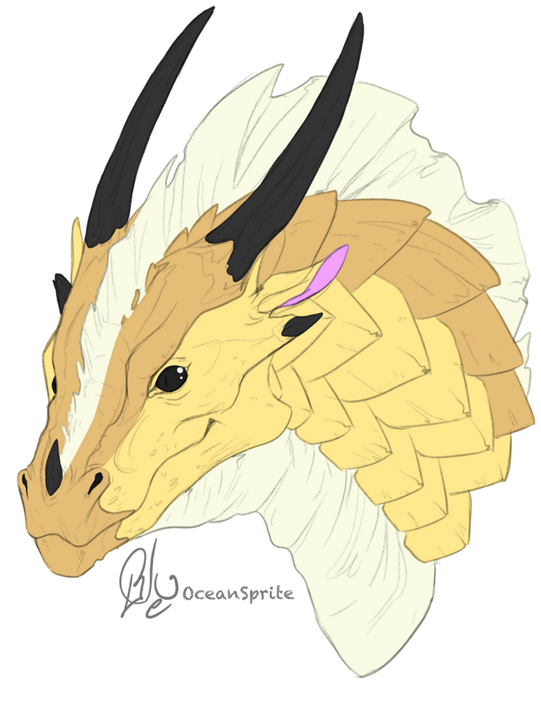 Blue's SandWing Headshot Base (PSD Version) by Skyify on DeviantArt