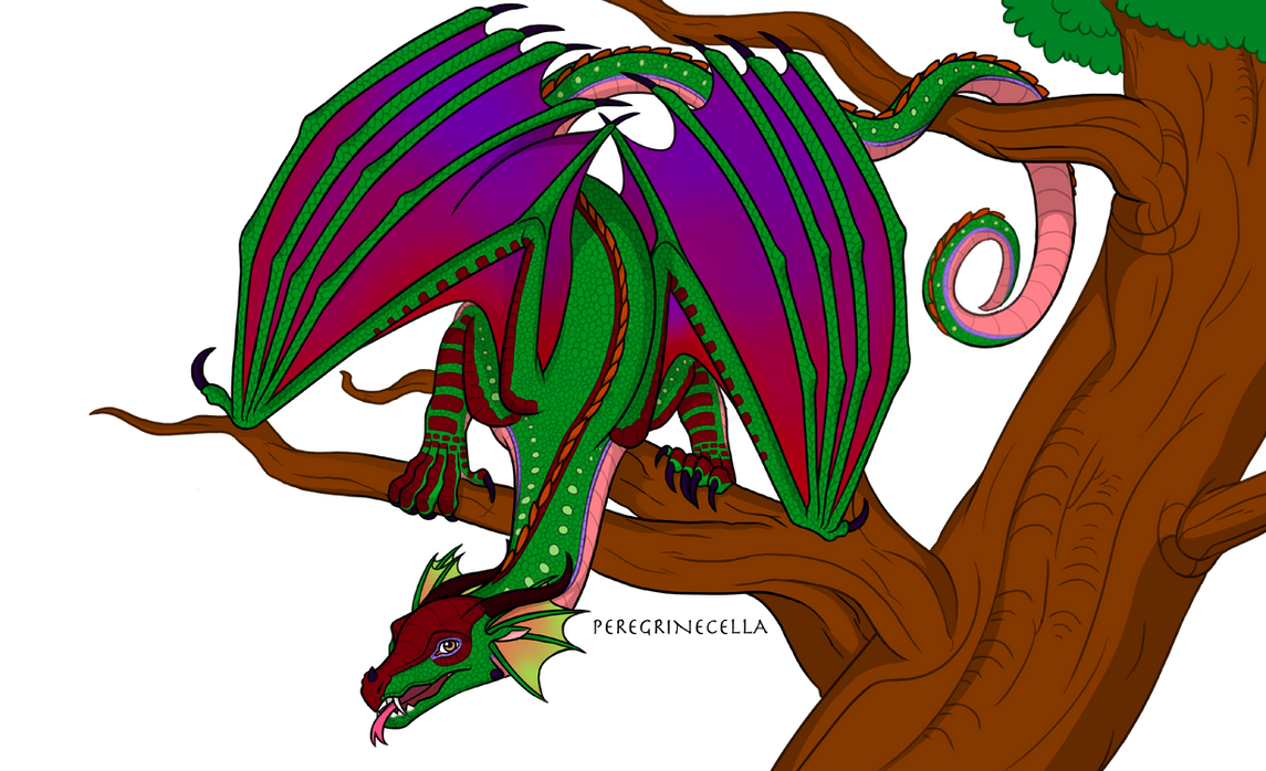 Peregrine's RainWing Variant (PSD Version) by Skyify on DeviantArt