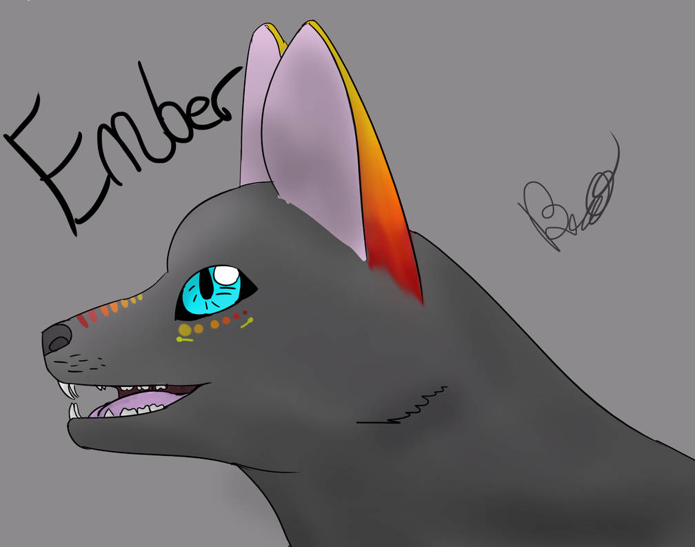 Ember (Entry 1) by bizabo on DeviantArt