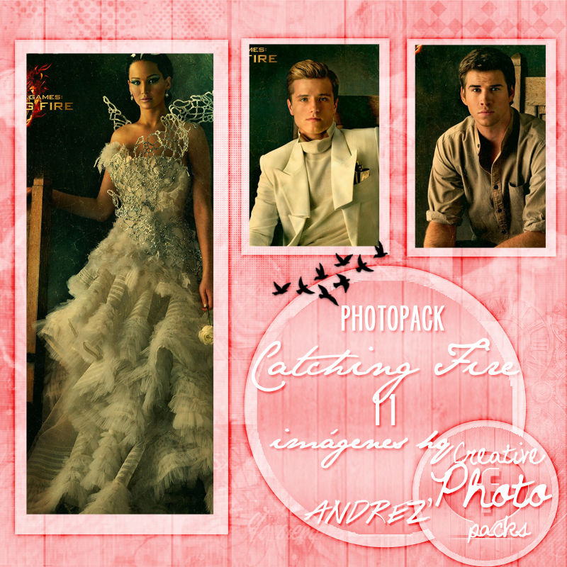 Catching Fire by ExpertforLight on DeviantArt