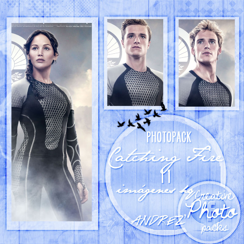 Catching Fire by ExpertforLight on DeviantArt