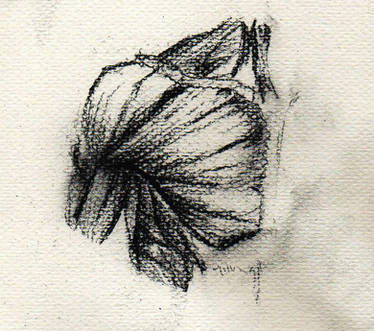 Explore the Best Shoulder Art | DeviantArt