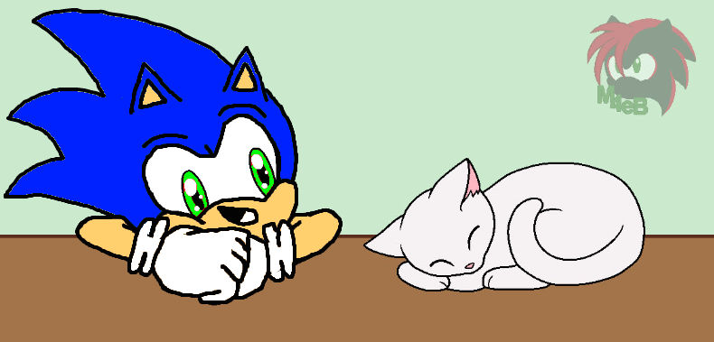 Sonic and the cat by SonicTheCoolHog123 on DeviantArt