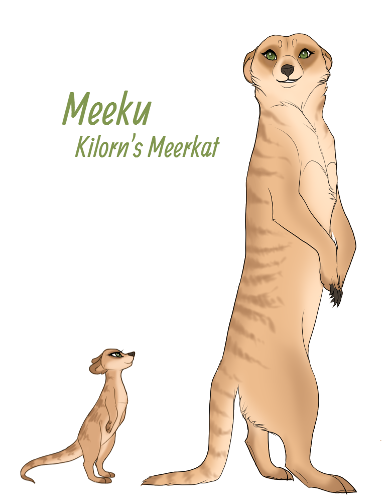 SA | Kilorn's Familiar | Meeku by PeculiarPanda on DeviantArt