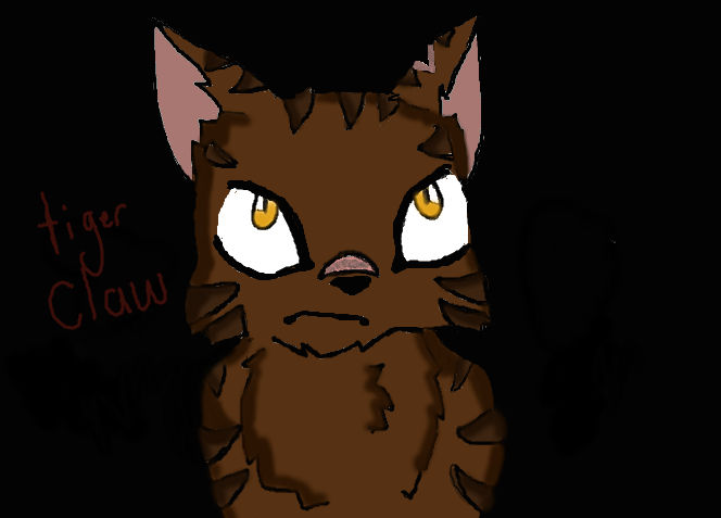 tigerclaw - warrior cats fanart by phoneixfox on DeviantArt
