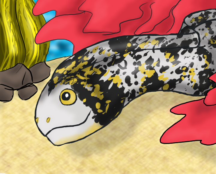 Snowflake Eel by Pewycert on DeviantArt