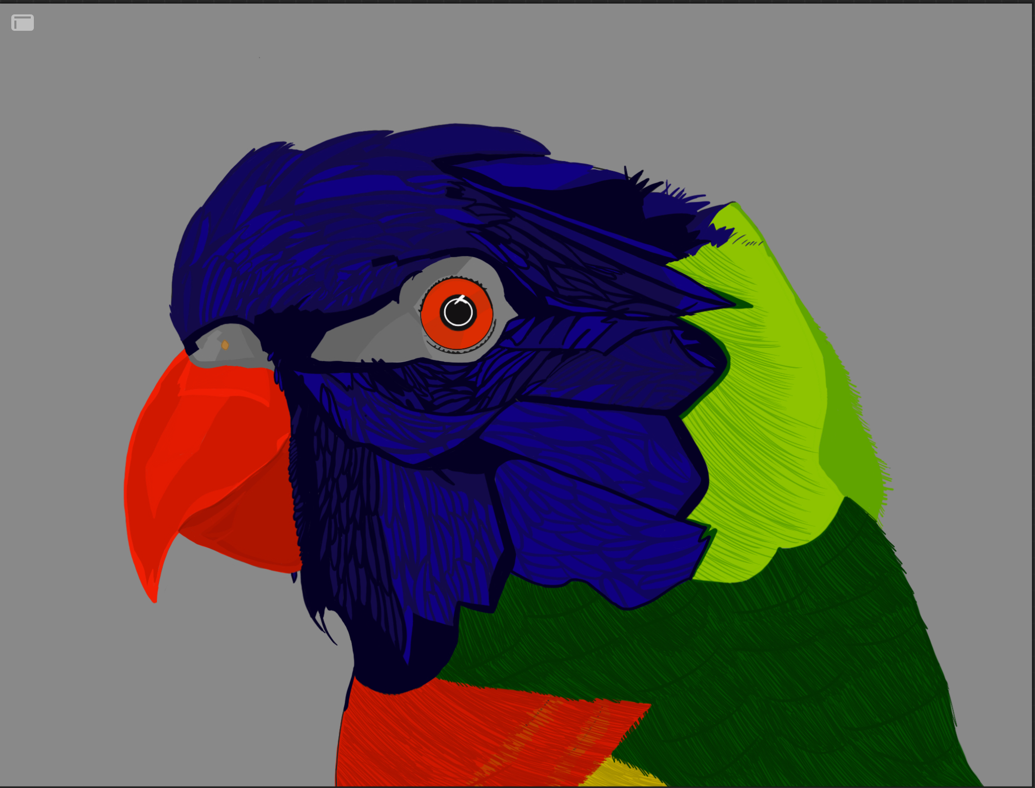 Lorikeet Drawing by Rjapms04 on DeviantArt