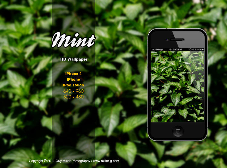 Mint - iPhone HD Wallpaper by guymiller on DeviantArt