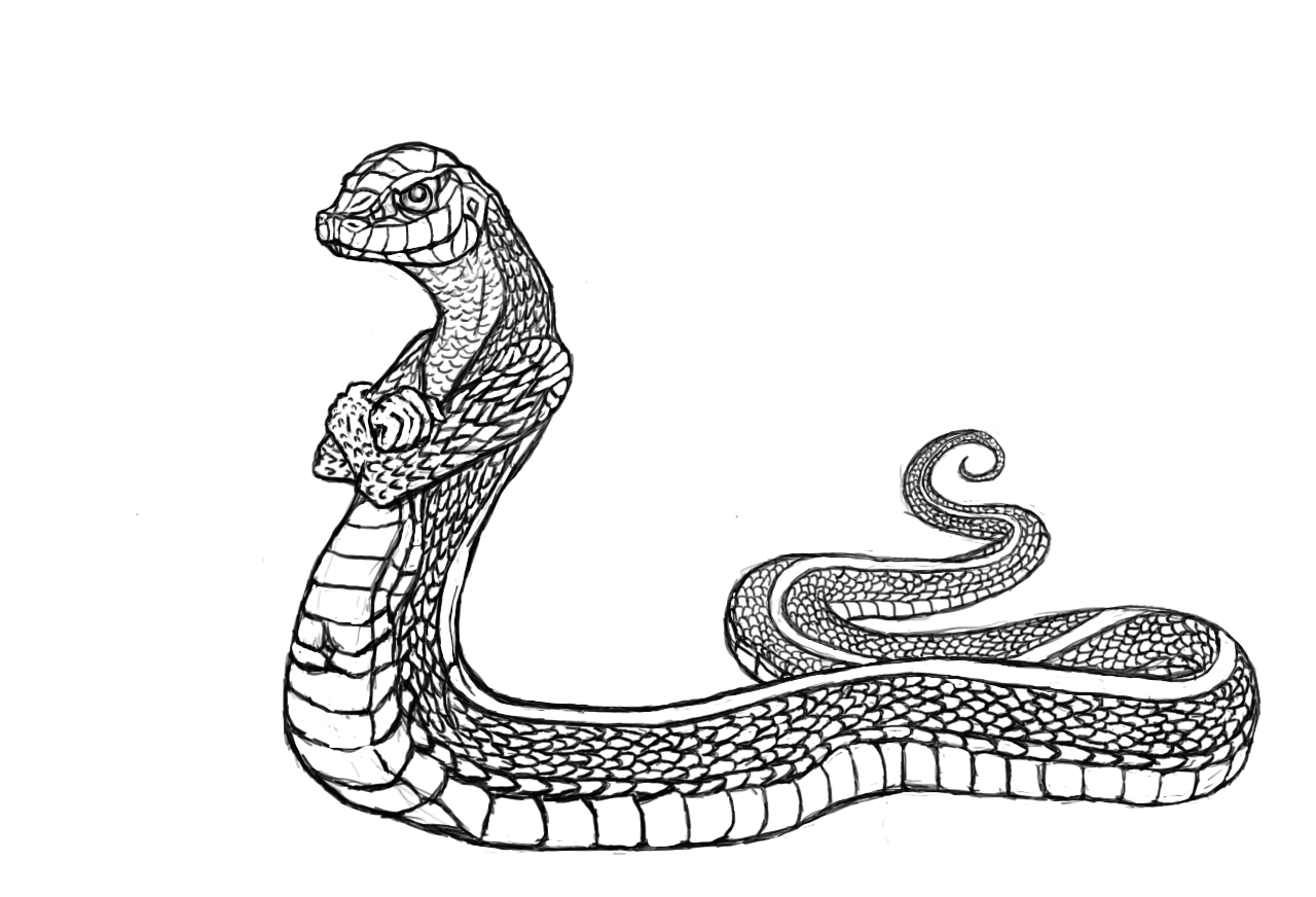 Garter Snake Anthro by DimensionXXIV on DeviantArt