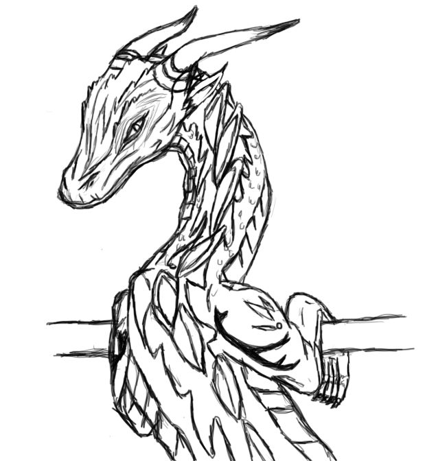 Dragon Sketch 6 by DimensionXXIV on DeviantArt