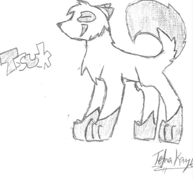 Tsuk Sketch by dracowolf on DeviantArt