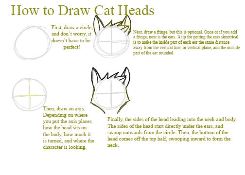 How to Draw Cat Heads by Echoscreech423 on DeviantArt