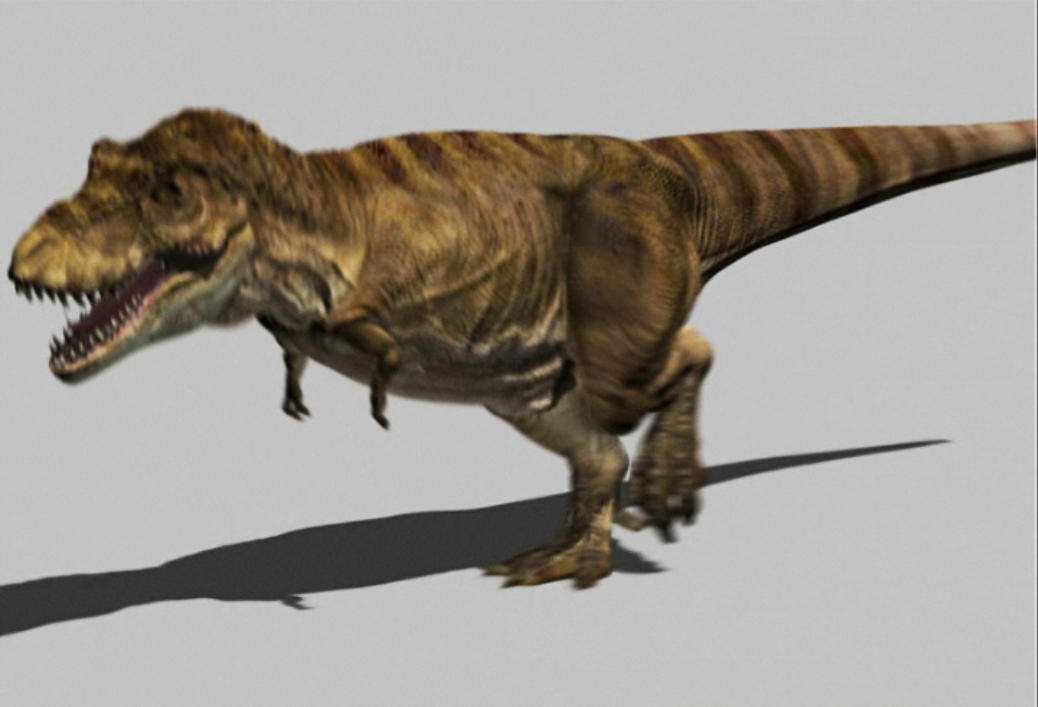 T-Rex - Test Walk Animation by DRamphStudio on DeviantArt