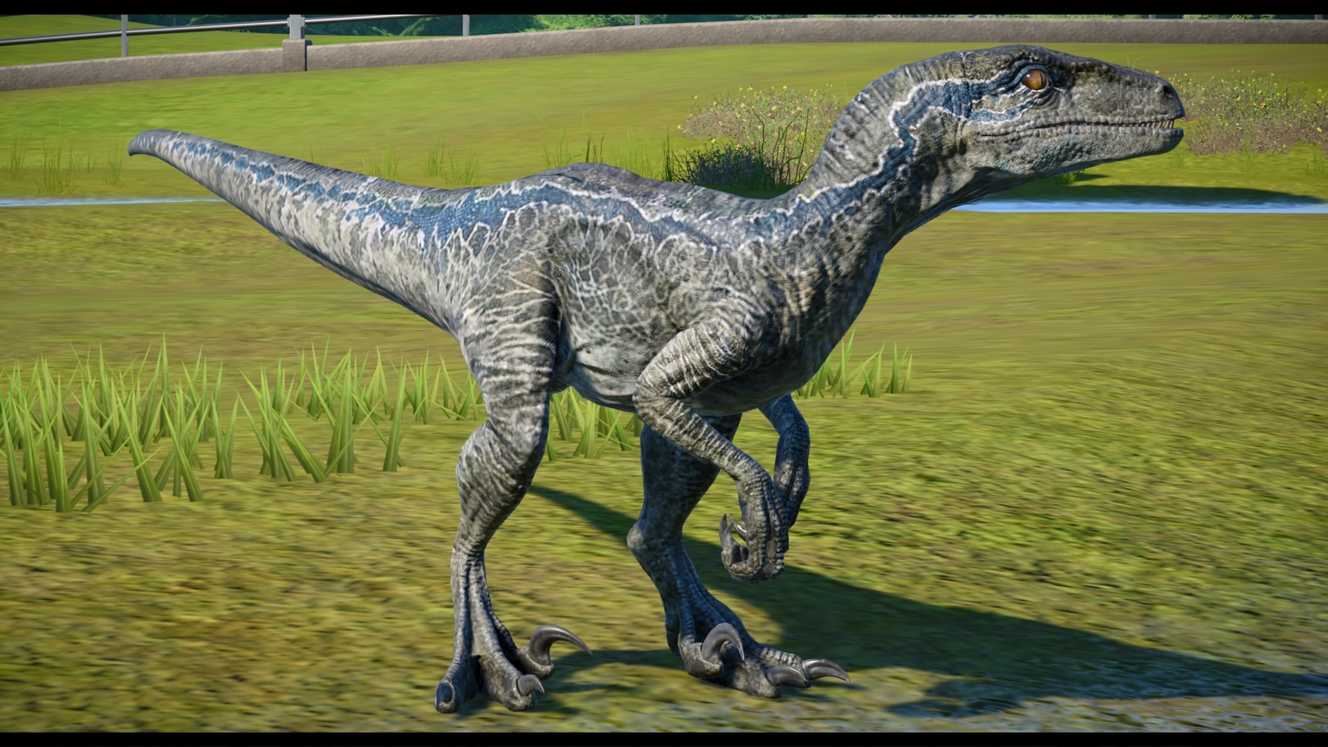 JWE - Blue Drinking by Des2lilchill on DeviantArt