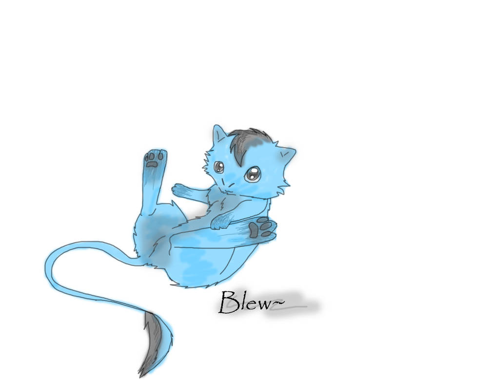 Blew~ by Nightpaw-apprentice on DeviantArt