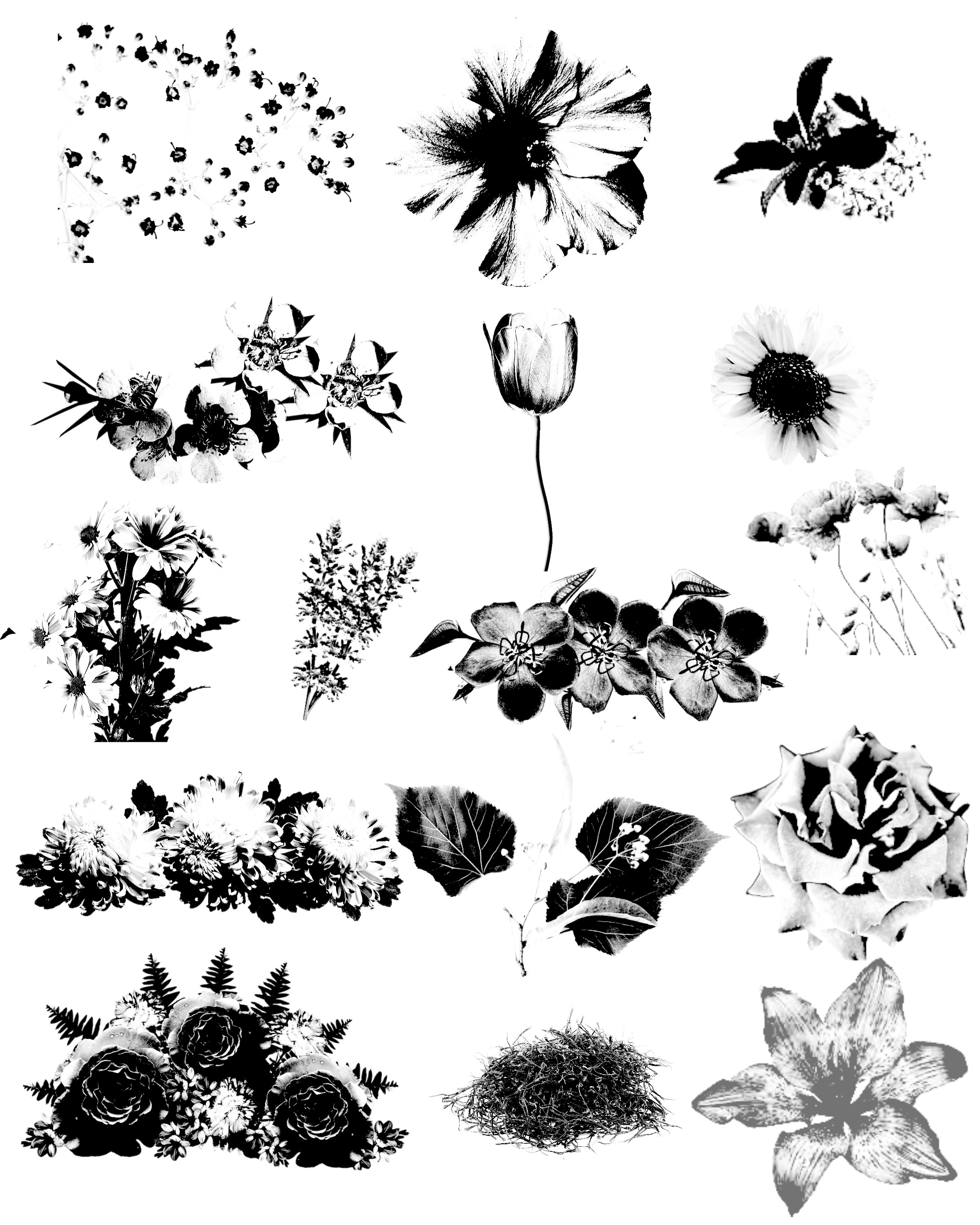 Flower Brushes by deadfairy21 on DeviantArt