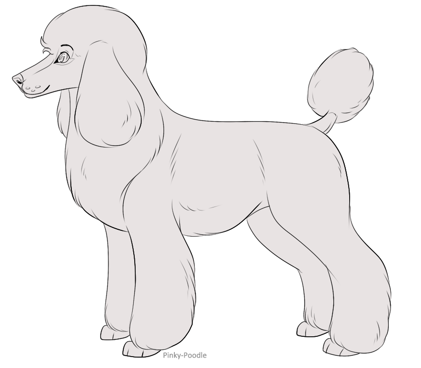 Free Poodle Lines by Pinky-Poodle on DeviantArt