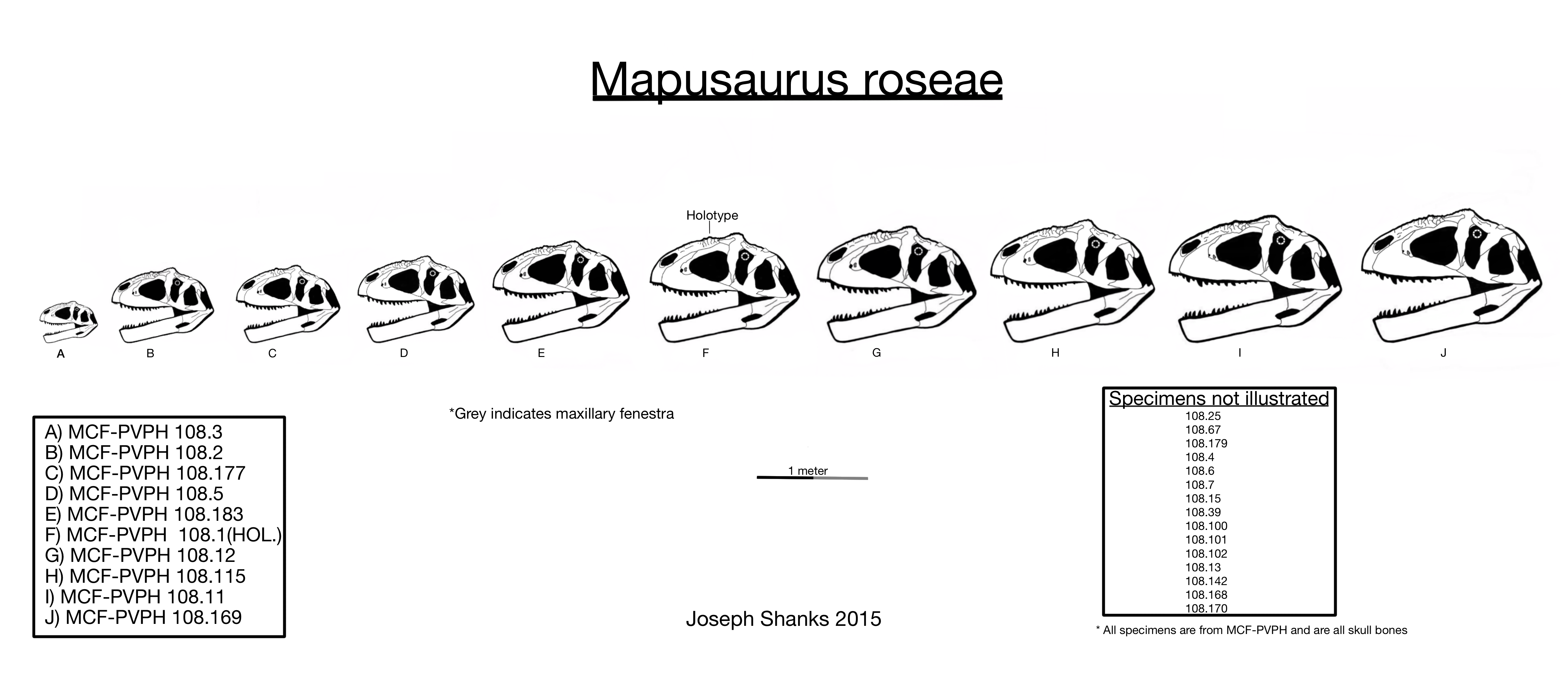 Family Portrait (Mapusaurus roseae) by PaleoJoe on DeviantArt