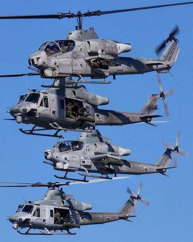 Pictures of a viper and hurey by 2356712p8 on DeviantArt