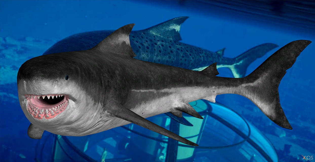 JWE 2 Megalodon - XPS Model by Godzillajack2 on DeviantArt