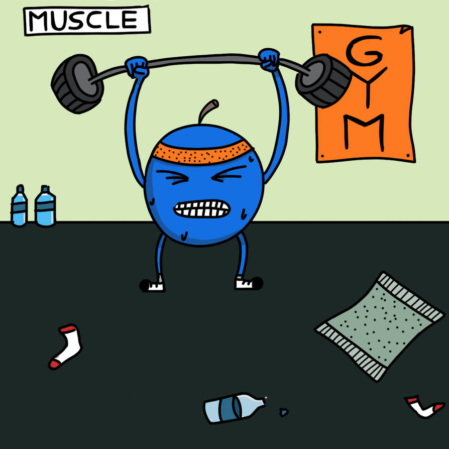 Blueberry at the Gym by RodrigoAlvaradoM on DeviantArt