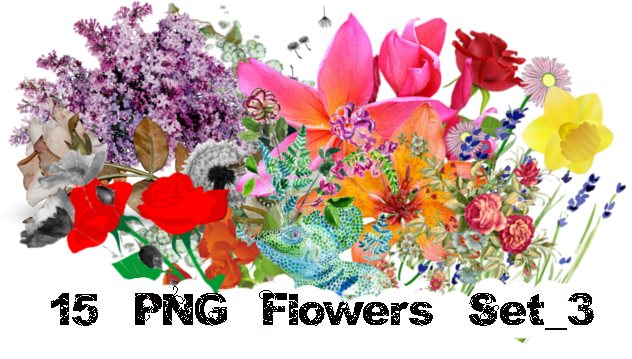 13 Flowers_PNG_Set_3 by JEricaM on DeviantArt