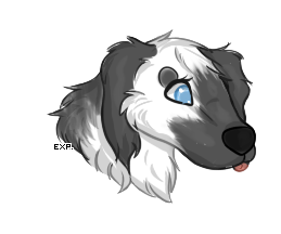Bombo by Expressso on DeviantArt
