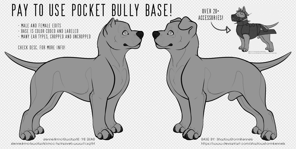 Pocket Bully Base 2.0 P2U by ShadowStormDogs on DeviantArt
