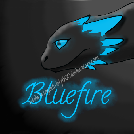 Bluefire headshot by Wingedwolf600 on DeviantArt